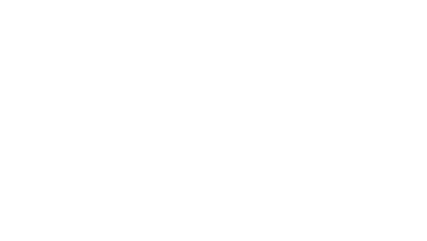 DataForce Survey Research Services